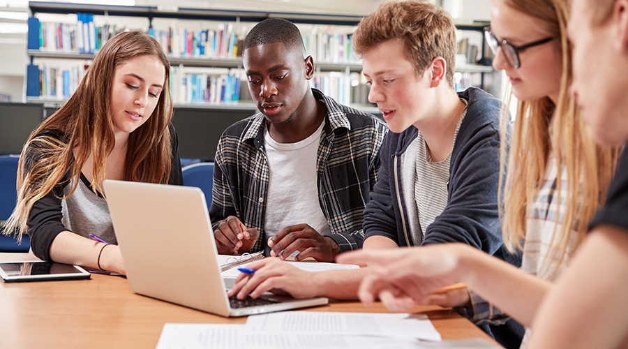 ERASMUS UNIVERSITY ROTTERDAM L-EARN FOR IMPACT SCHOLARSHIP | YouthExpat
