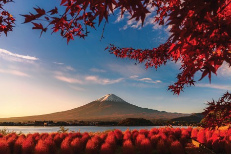 SONY WORLD PHOTOGRAPHY AWARDS | YouthExpat